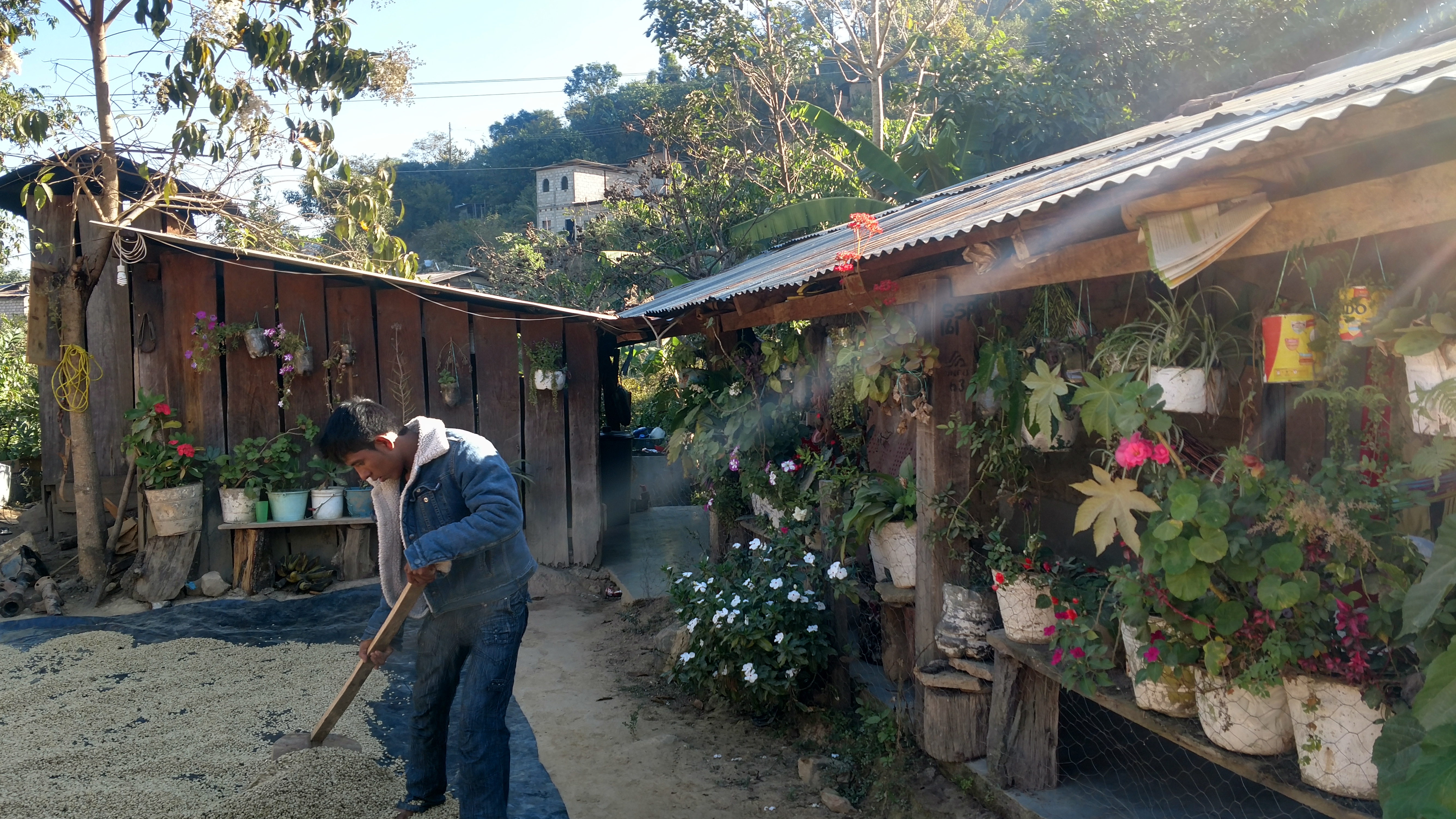 La Fortuna: reverting to tradition in Puerto Vallarta | Travel with Pen ...